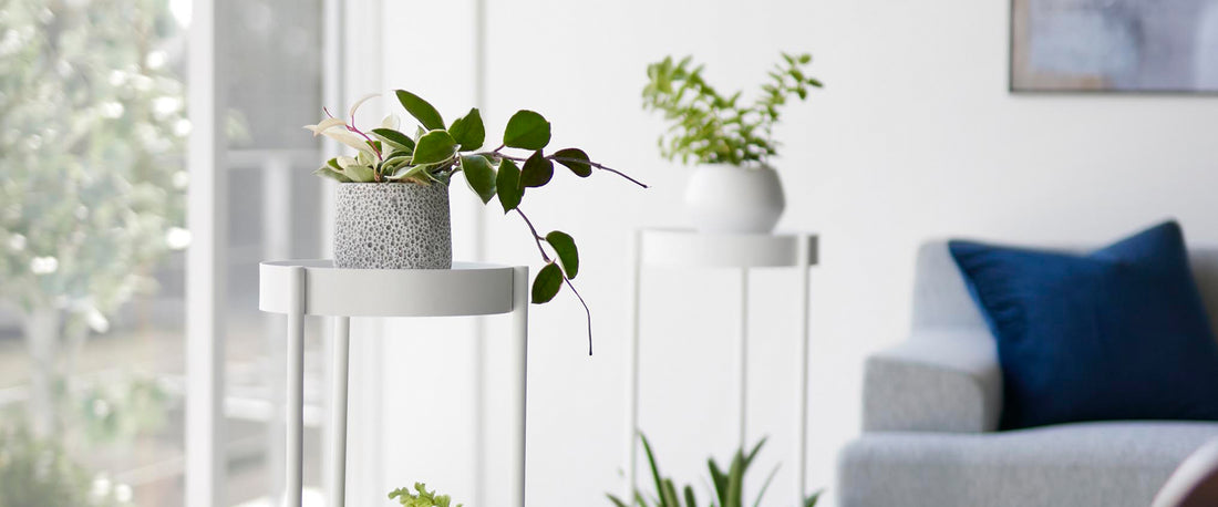 Yamazaki - Simple, Functional Japanese Homewares